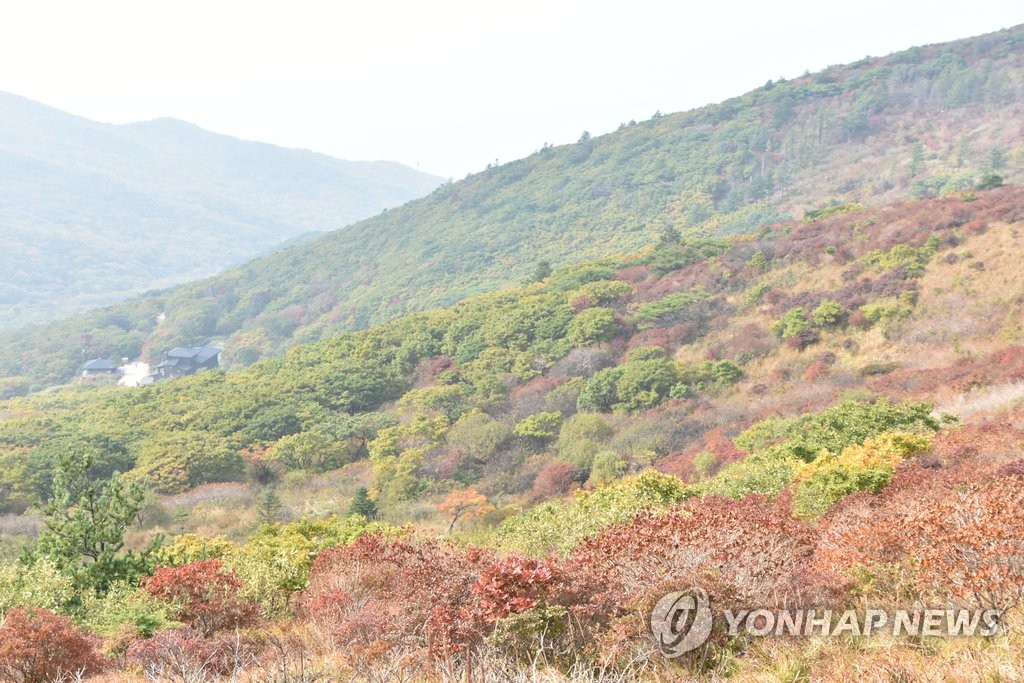 지리산 단풍 20~25일 절정…저지대는 내달 1일까지 적기 | 연합뉴스